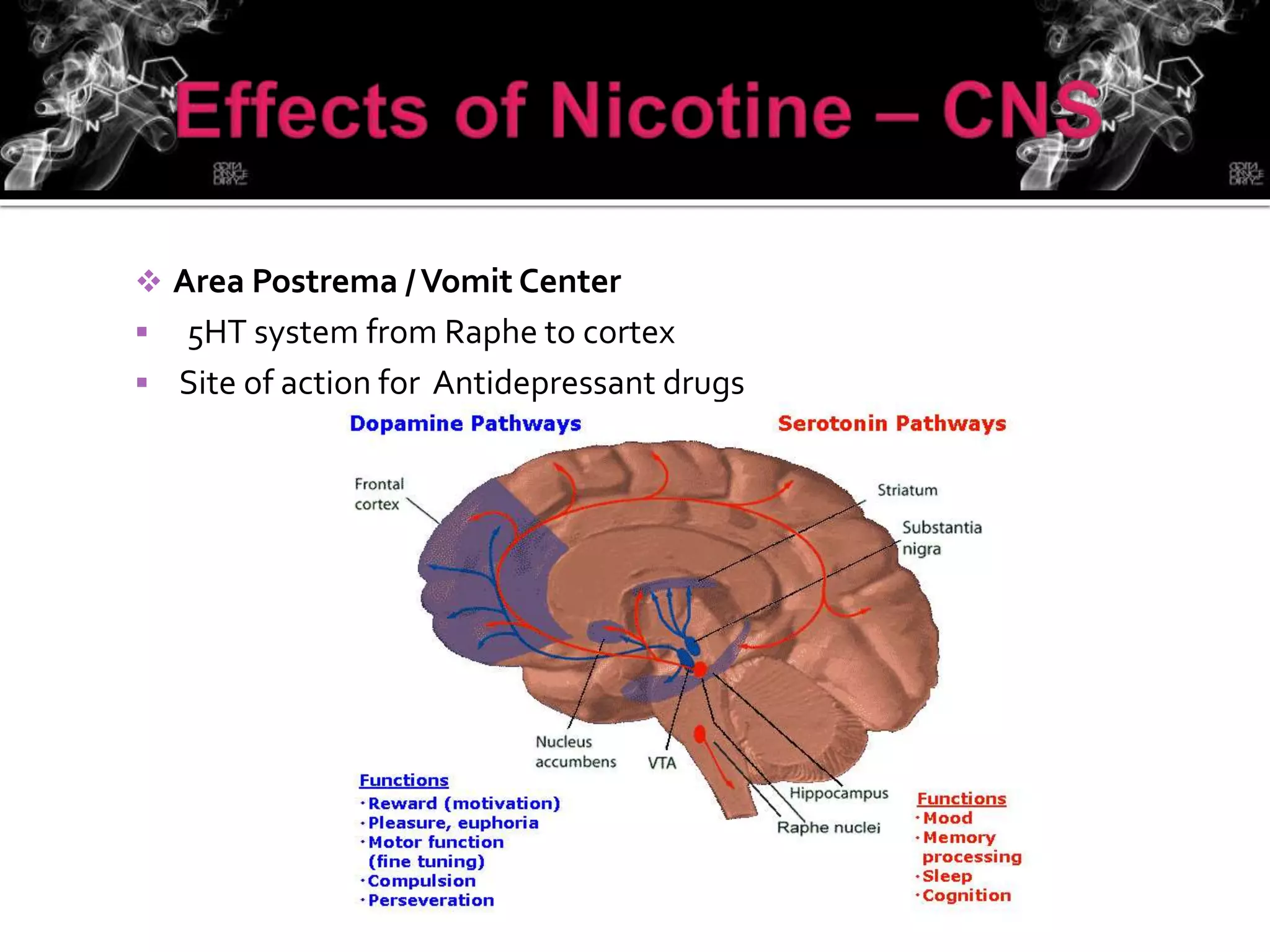 Nicotine presentation | PPTX