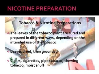 Nicotine presentation | PPTX