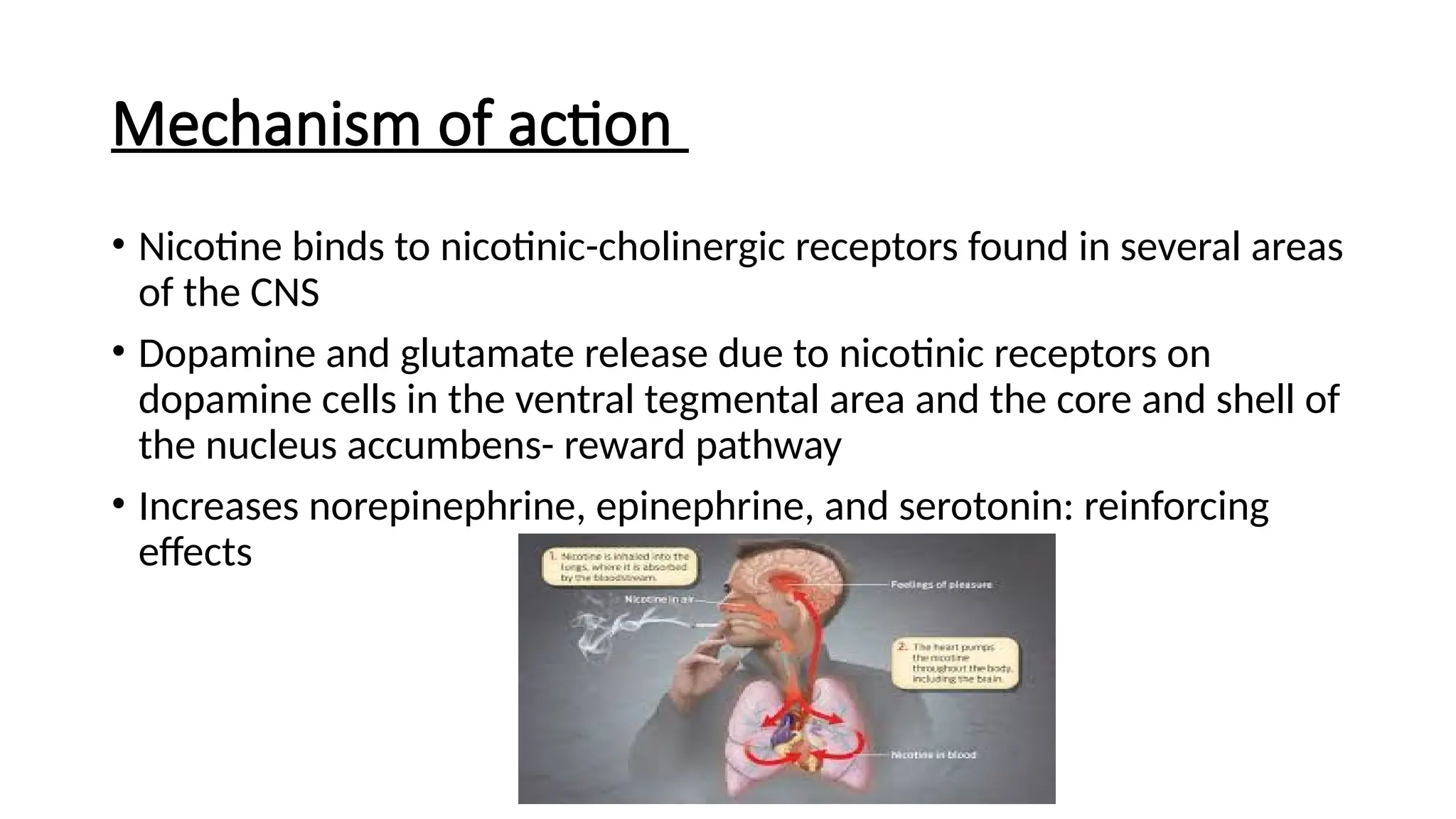 Nicotine Replacement Therapy regimen.pptx