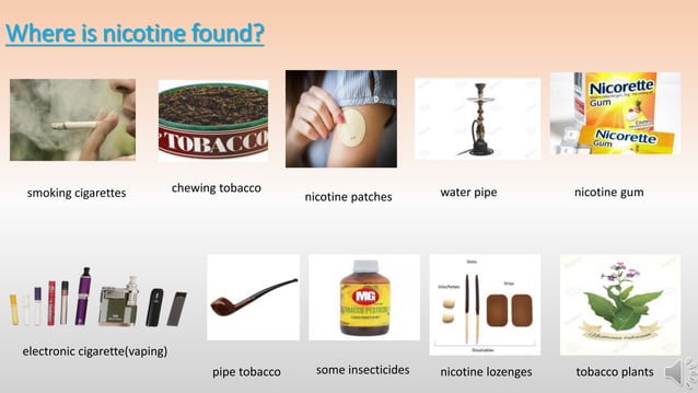 Nicotine toxicity | PPTX