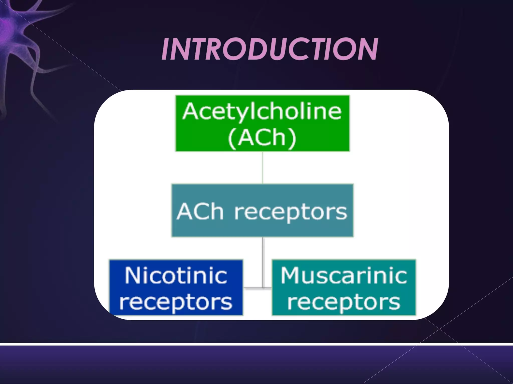 Nicotinic receptors | PPT
