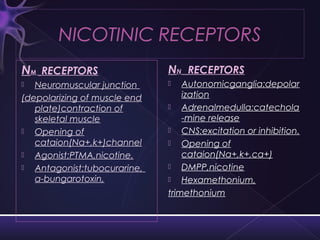 Nicotinic receptors | PPT