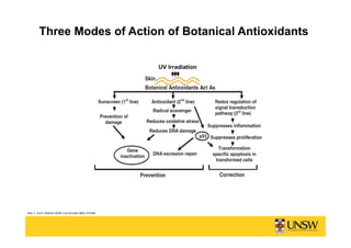 Nico wanandy unsw mechanism of antioxidant for the skin | PDF