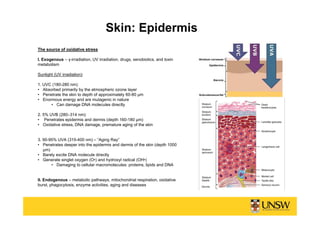 Nico wanandy unsw mechanism of antioxidant for the skin | PPT
