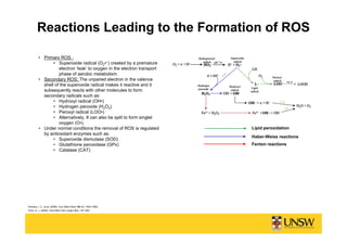 Nico wanandy unsw mechanism of antioxidant for the skin | PPT
