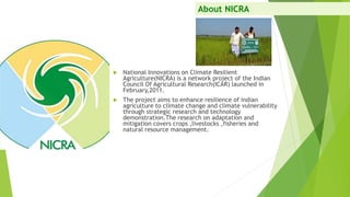 National Innovations on Climate Resilient Agriculture NICRA.pdf ...