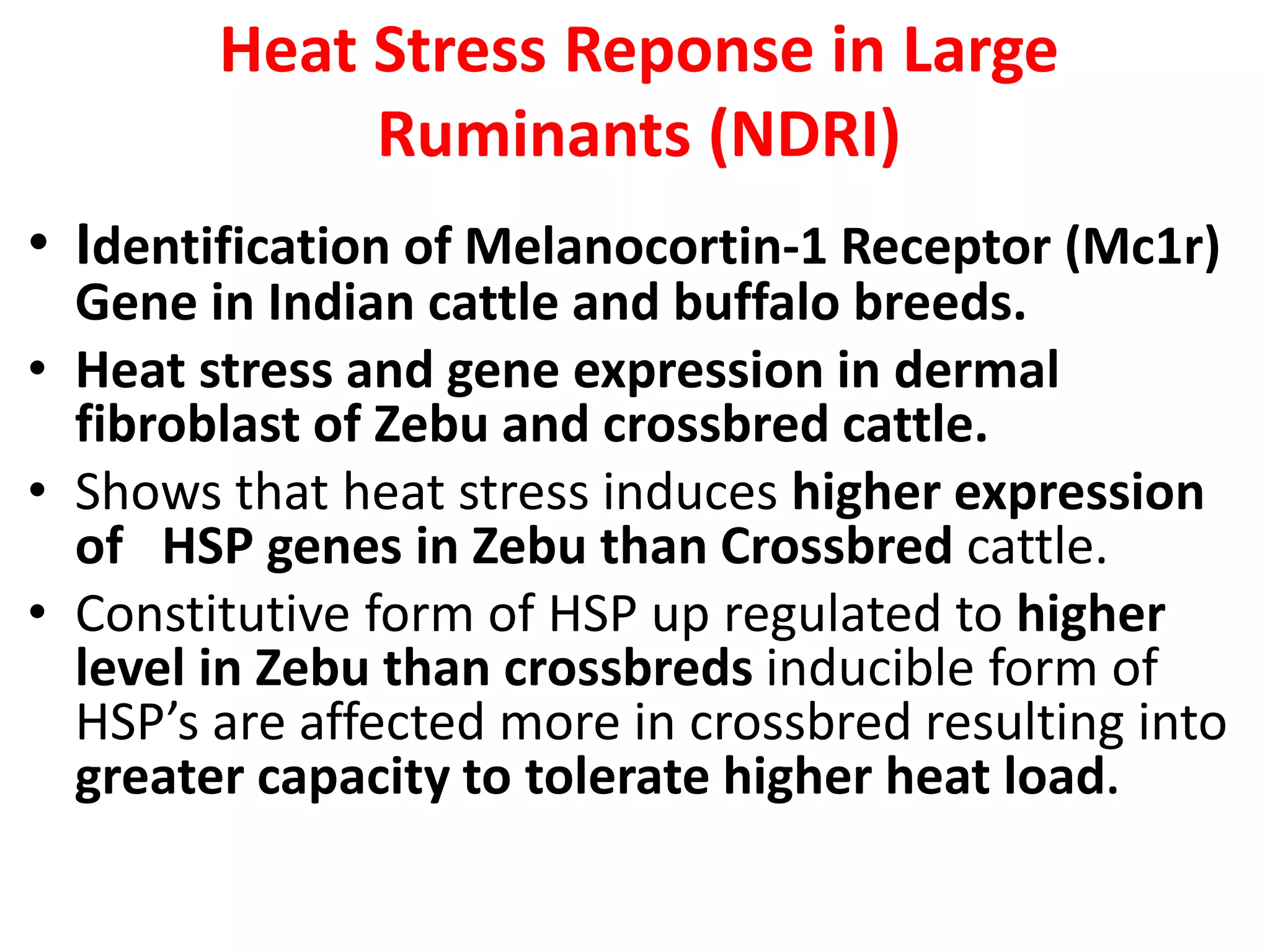 NICRA PROJECT BY Dr.SUNIL KUMAR BOYA | PPTX