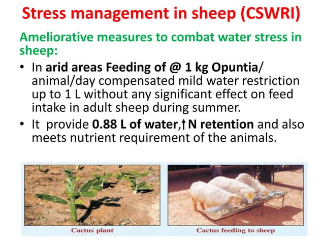 NICRA PROJECT BY Dr.SUNIL KUMAR BOYA | PPTX