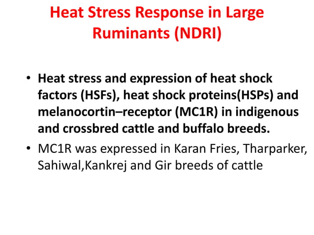 NICRA PROJECT BY Dr.SUNIL KUMAR BOYA | PPT