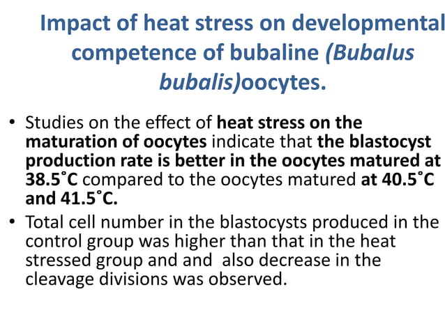 NICRA PROJECT BY Dr.SUNIL KUMAR BOYA | PPTX