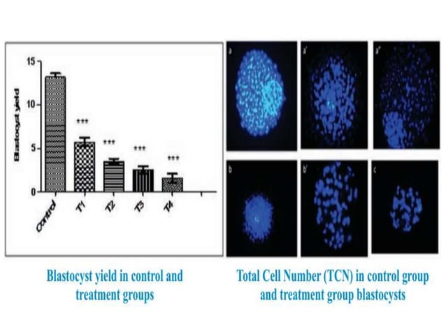 NICRA PROJECT BY Dr.SUNIL KUMAR BOYA | PPTX