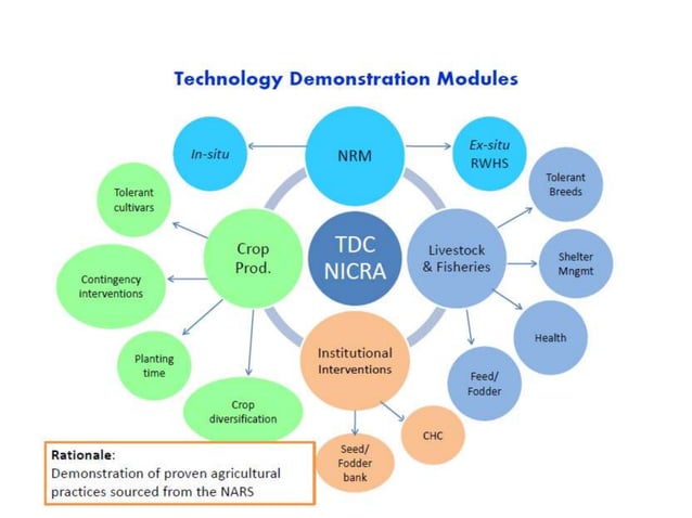 NICRA PROJECT BY Dr.SUNIL KUMAR BOYA | PPTX
