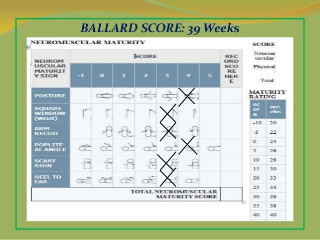 Nicu 3 2012 - interdepartment case copy - copy