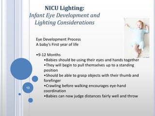 Nicu lighting design handout | PDF