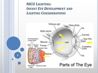 Nicu lighting design handout | PDF