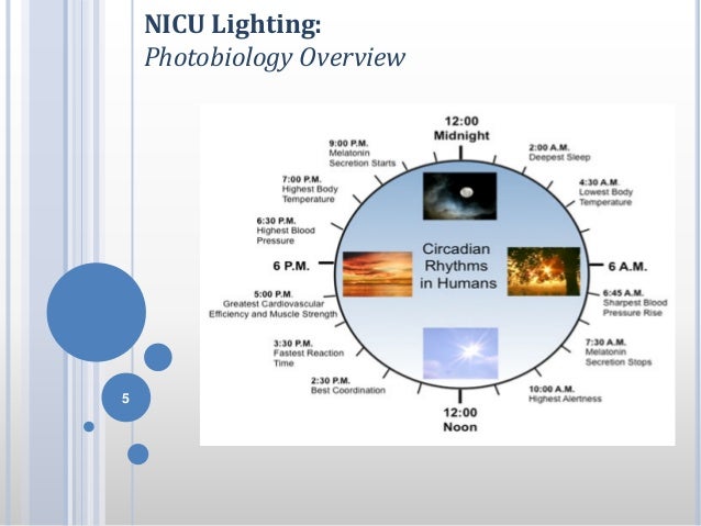 Nicu lighting design handout