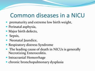 Nicu management | PPTX