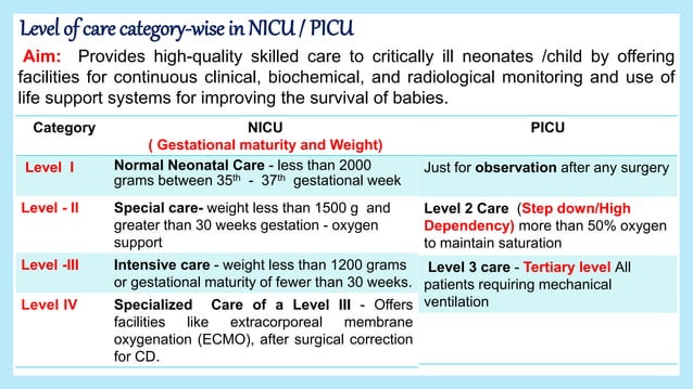 Modernize Setup Of NICU And PICU | PPTX | Parenting Babies and Toddlers ...