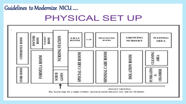 Modernize Setup Of NICU And PICU | PPTX | Parenting Babies and Toddlers ...