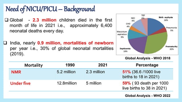 Modernize Setup Of NICU And PICU | PPTX | Parenting Babies and Toddlers ...