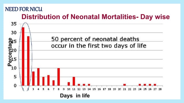 Modernize Setup Of NICU And PICU | PPTX | Parenting Babies and Toddlers ...