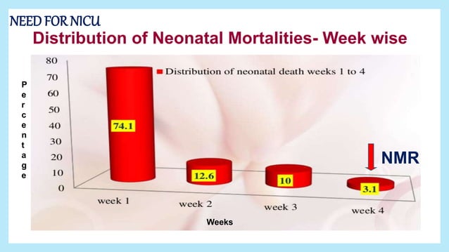 Modernize Setup Of NICU And PICU | PPTX | Parenting Babies and Toddlers ...