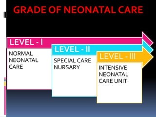 Nicu ppt | PPTX