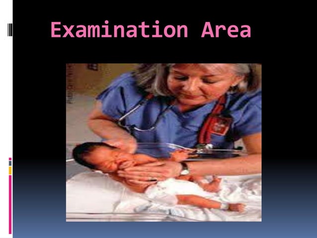 Nicu ppt | PPTX