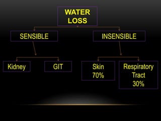 FLUID MANAGEMENT IN NEONATES NICU | PPTX