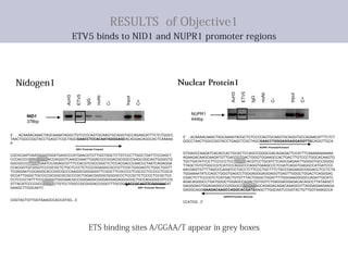 NID1 and NUPR1 are ETV5 regulated genes involved in endometrial tumor dissemination | PPT