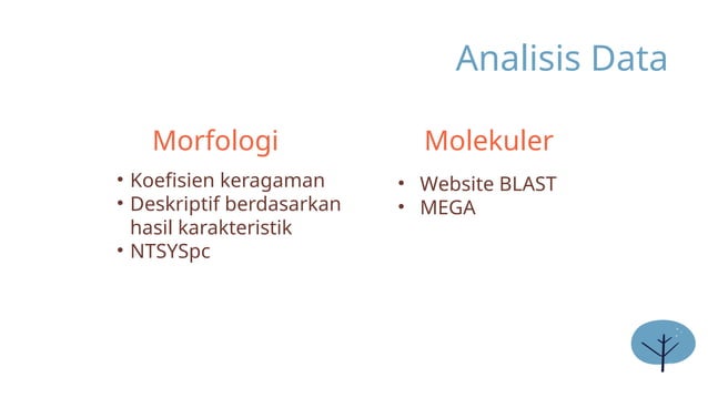 Variasi Morfologi dan Genetik Ketela Pohon (Manihot esculenta ...