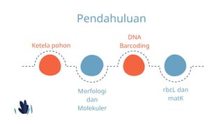 Variasi Morfologi dan Genetik Ketela Pohon (Manihot esculenta ...