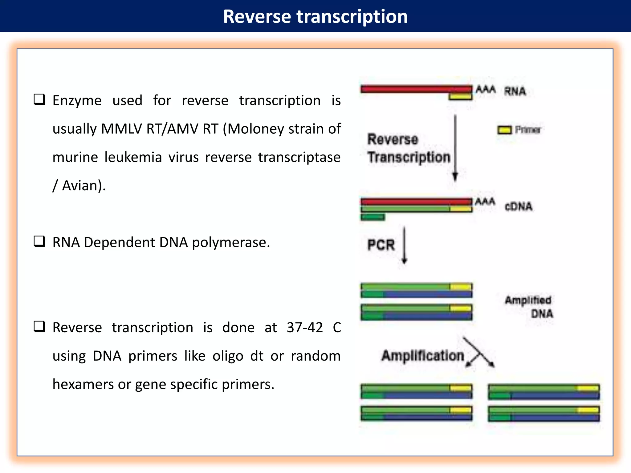 NIDA FATIMA REAL TIME PCR PPT.pptx