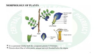 Study of CLITORIA TERNATEA providing Anti-Microbial Treatment for ...