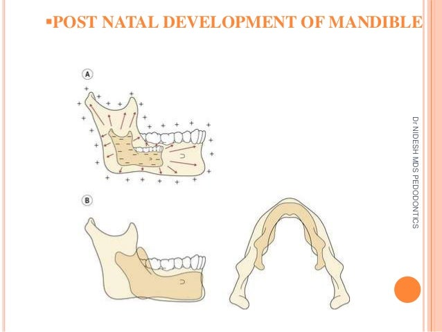 post natal growth and development
