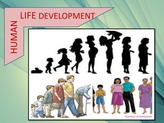 Human Lifespan Development Stages