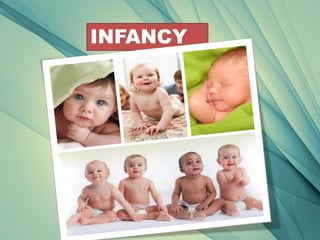 stages of human development | PDF