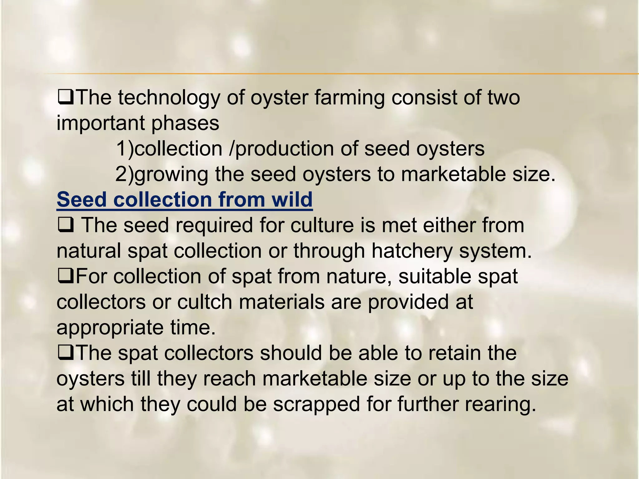 edible and pearl oysters | PPTX