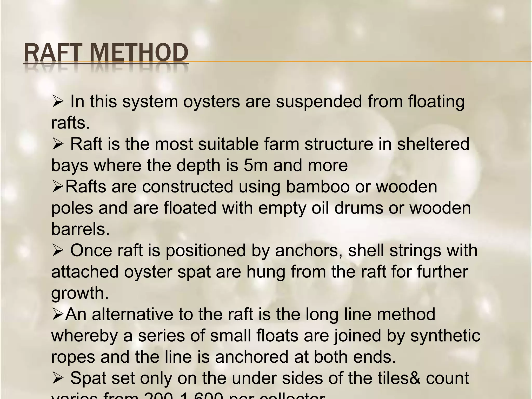 edible and pearl oysters | PPTX