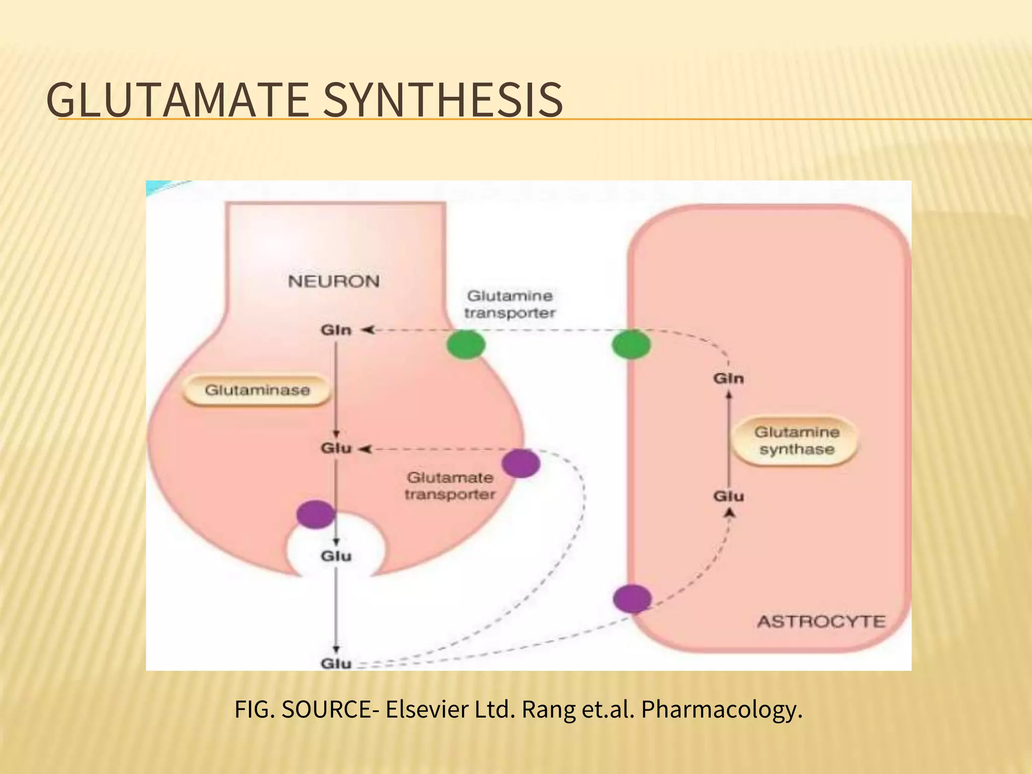 Recent trends on Glutamate receptor | PPT