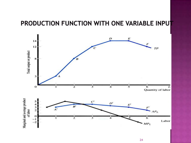 Nidhi ppt (production function)