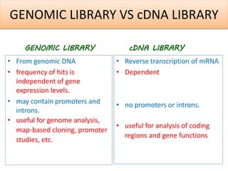 Nidhi sharma ppt gene library | PPT