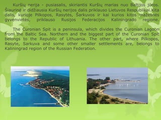 Nidos lopselis darzelis azuoliukas | PPT