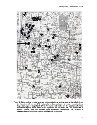 NIDS - TSE and cattle mutilations full article | PDF