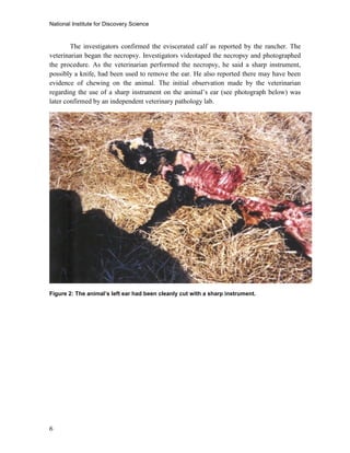 NIDS - TSE and cattle mutilations full article | PDF