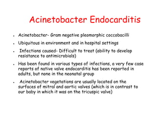 NEONATAL ENDOCARDITIS | PPTX