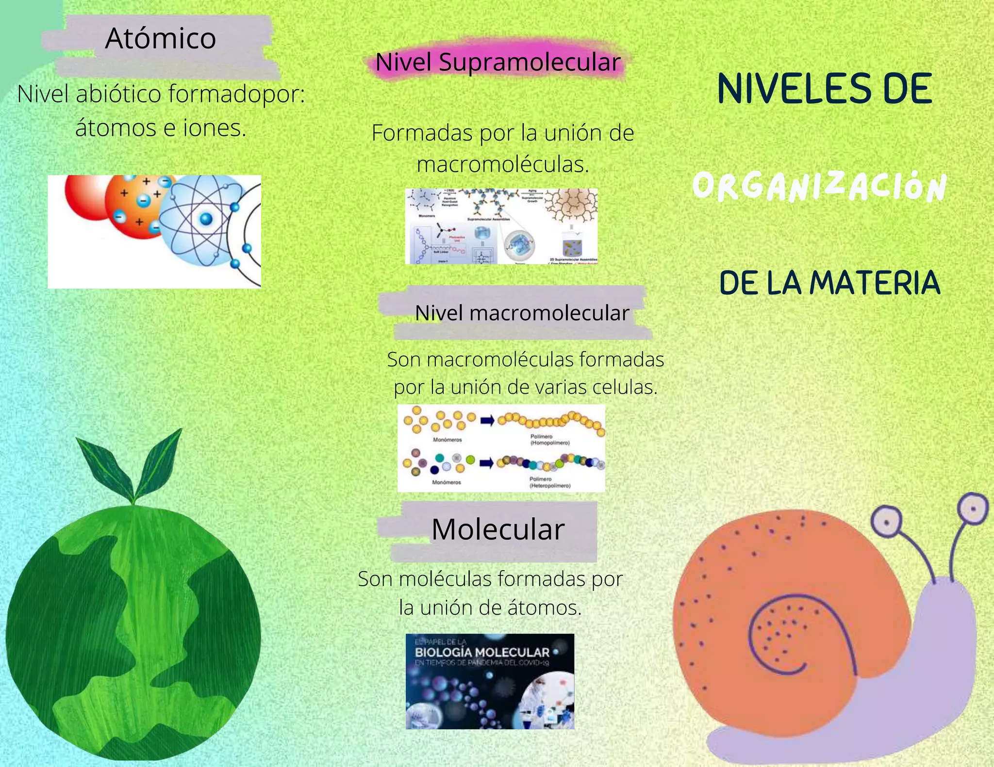 Niveles De Organizacìon De La Materia Pptx Descarga Gratuita