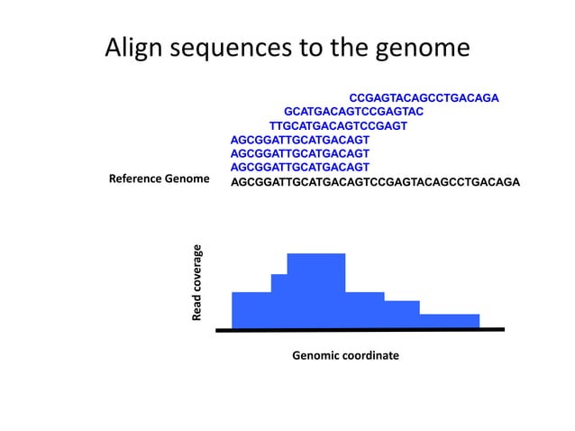 Complementing Computation With Visualization In Genomics Ppt