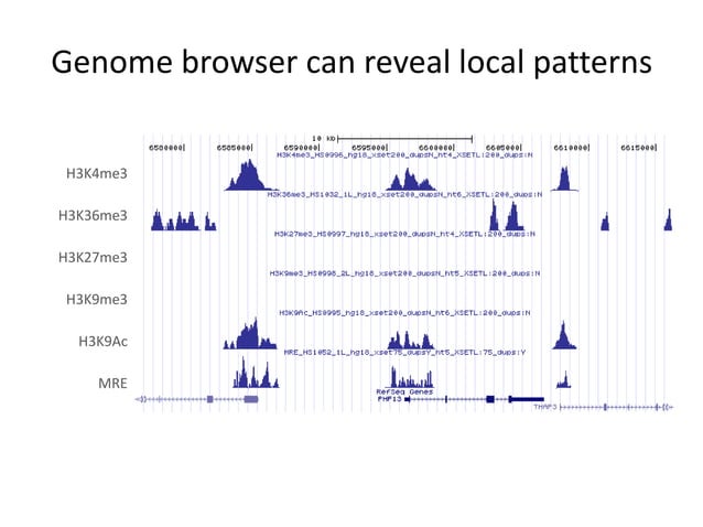 Complementing Computation With Visualization In Genomics Ppt