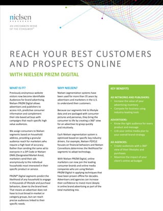 Nielsen Prizm Digital 2013 | PDF